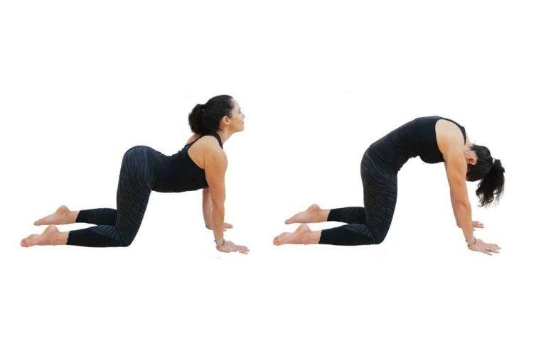 Top 10 Thoracic Back Pain Exercises For Relief At Home – Omfom